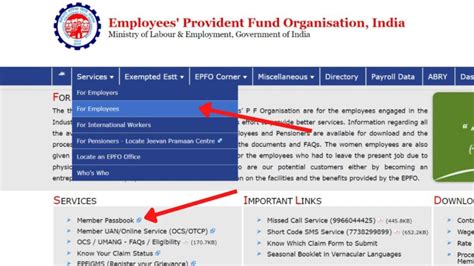 How To Download And Check Epf Passbook Online Dreamtrix Finance