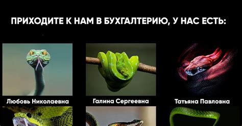 Дружный Женский Коллектив Картинка Со Змеями Telegraph