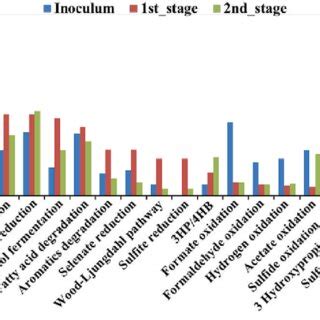Pathways Dominance Over The Whole Metabolisms Found In The Three