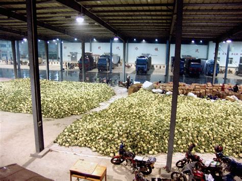 产品中心 天门市鑫天农业发展有限公司 湖北小龙虾批发 湖北速冻虾仁 湖北速冻虾尾