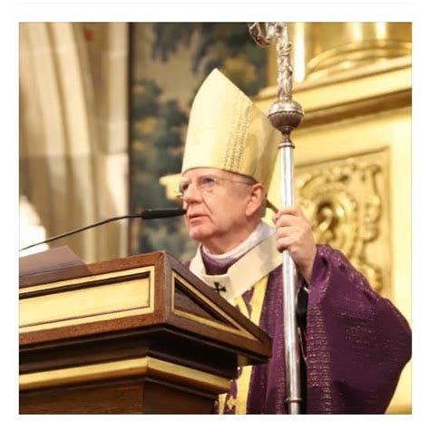Abp Jędraszewski Marek Jędraszewski Wikipedia Komentarz do