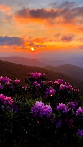 Sunrise Photography Nature Artofit