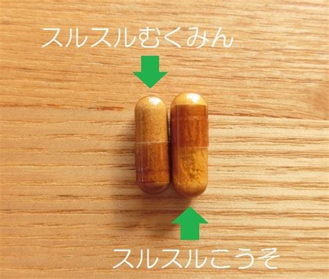 スルスル酵素を飲んだ感想を口コミ！効果は嘘？飲み方も解説！｜美脚ダイエット日記