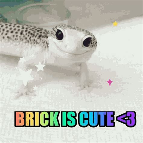 Brick Brick Cute  Brick Brick Cute Discover And Share S