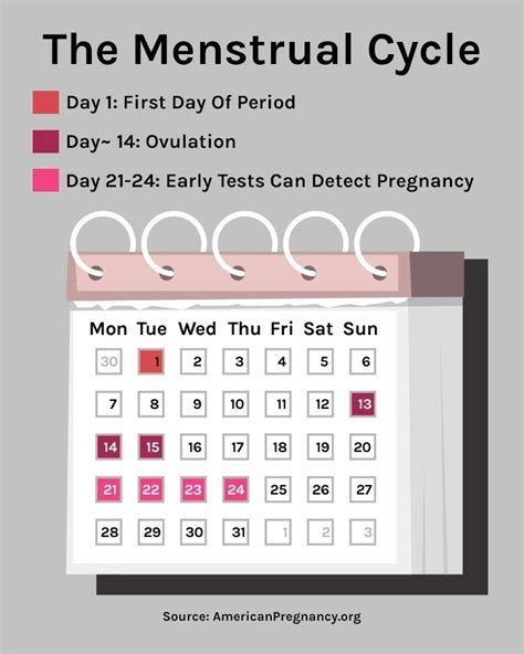 Perky 3 Month Ovulation Calendar Calculator Ovulation Calendar What