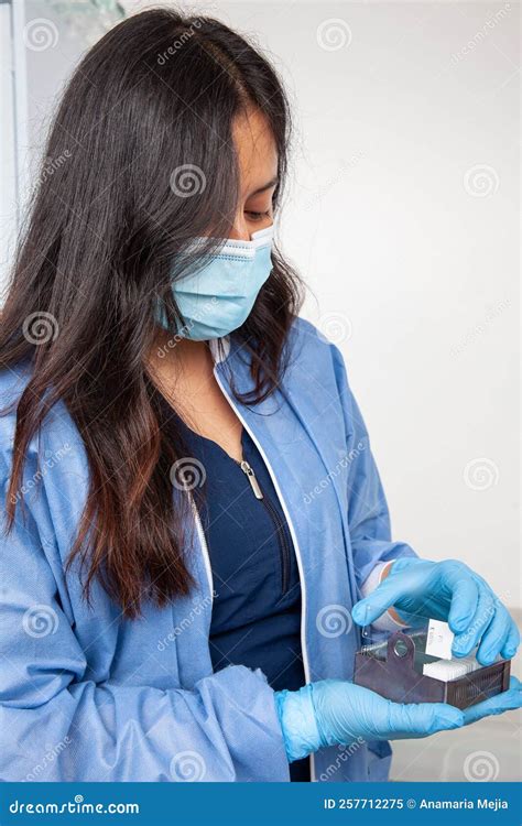 Paraffin Embedded Tissue Blocks Of Cancer On Isolated White Background