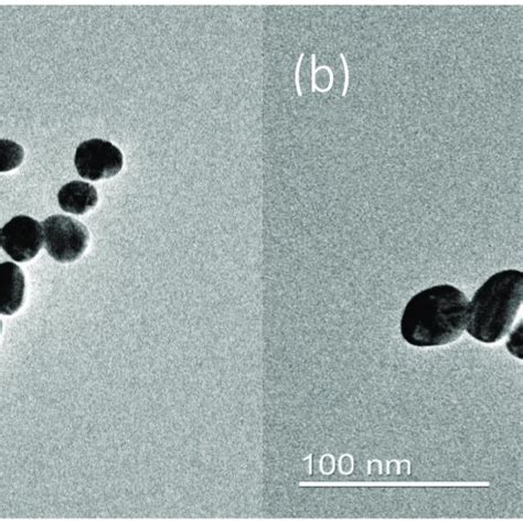 Uv Vis Absorption Spectrum Of Ag Black Trace P Aminobenzoic Acid