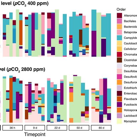 Stacked Bar Plot Of The Relative Abundance Of Bacterial Orders Download Scientific Diagram