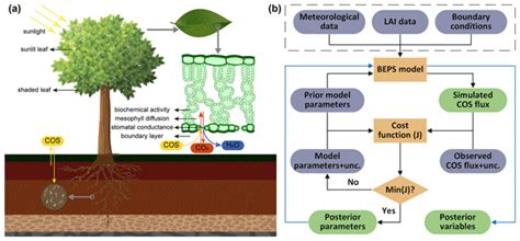 Gmd Metrics Assimilation Of Carbonyl Sulfide Cos Fluxes Within The Adjoint Based Data