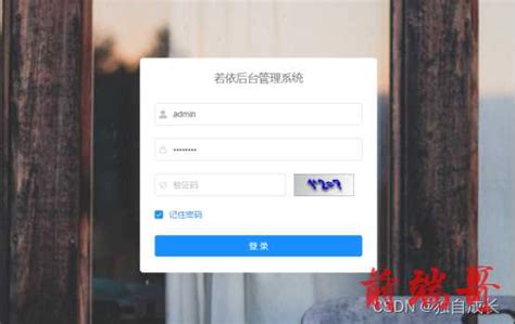 打包部署若依springboot后端和vue前端 前端哥