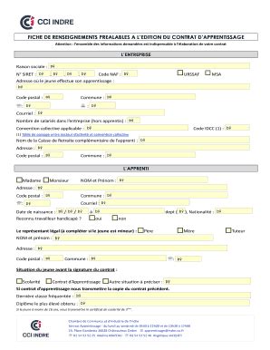 Remplissable En Ligne Indre Cci La Fiche De Renseignements Format PDF