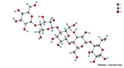 Cellulose Structure 3d