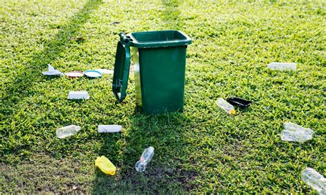 Ce Este Reciclarea Beneficii Si Avantaje Ziarul Incisiv De Prahova