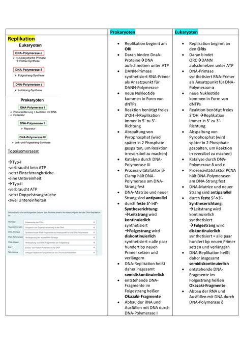 Replikation Transkription Translation Prokaryoten Eukaryoten Replikation Topoisomerasen →typ