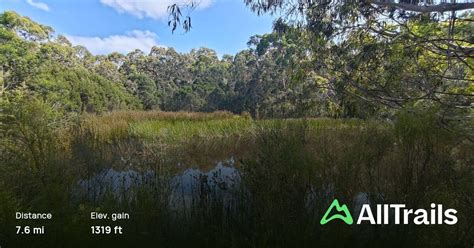 Granite Peak Trail To Lysterfield Hill Victoria Australia 111