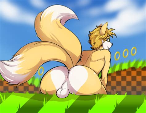 Rule 34 Anthro Anus Ass Backsack Balls Canine Fox Male Male Only
