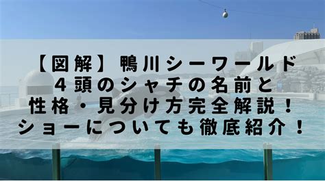 葛西臨海水族園の所要時間の目安とおすすめの回り方をご紹介 rashiku like
