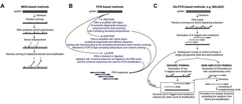 单细胞rna测序（scrna Seq）细胞分离与扩增 知乎