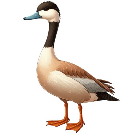 Tatuaggio Realistico Di Anatra Tatuaggio Di Anatra Etsy Italia