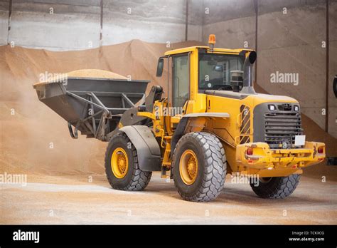 Excavator Loader Bucket Loading Grain Big Heap Of Grain In A Warehouse At Food Factory Stock