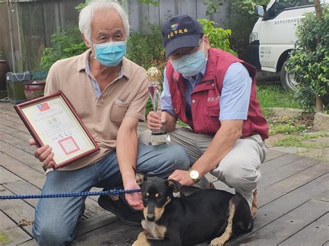 認養毛小孩 金牌農村守護犬稱職討愛 蕃新聞