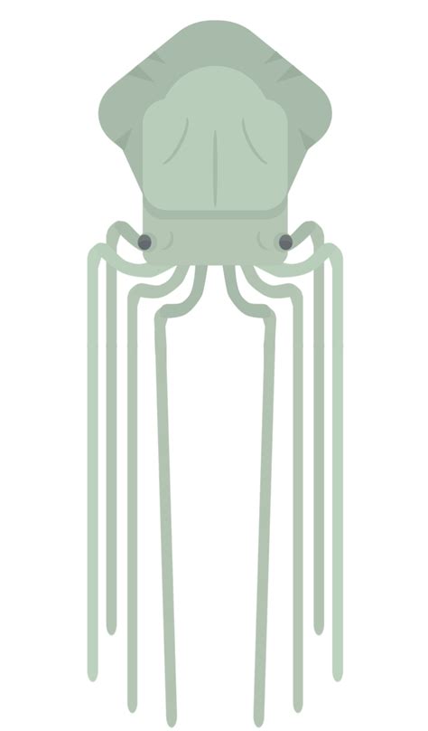 Bigfin Squid Magnapinna Squid And Ability Rdeeeepioartworks