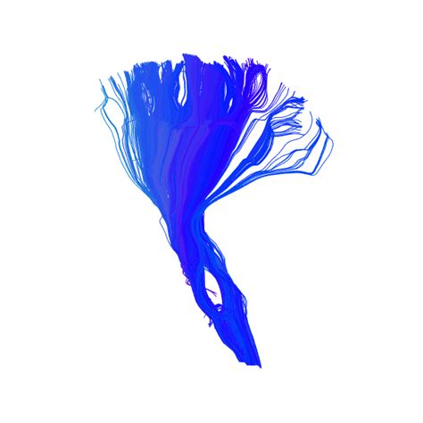 Automatic Fiber Bundle Extraction With Recobundles — Dipy 1110 Documentation