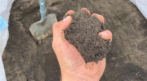 Rasen sanden im Frühjahr Warum das nützlich ist und wie man vorgeht Schritt für Schritt