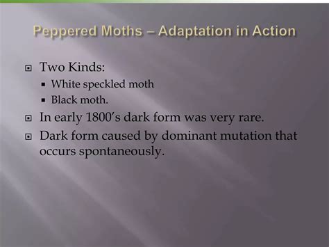 Adaptation And Selective Breeding Pptx