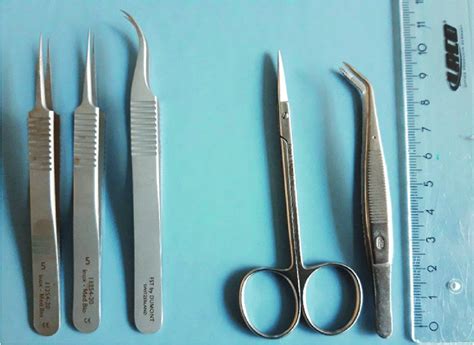 Tools For Dissection Download Scientific Diagram