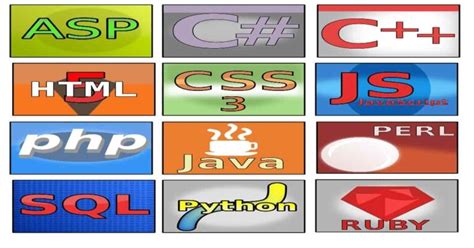 computer programming degree requirements cozmocard
