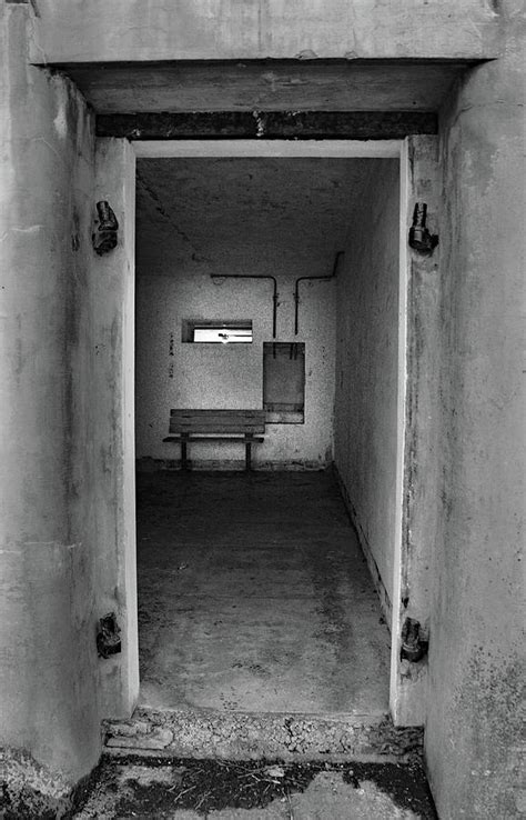 Divergence Photograph By Pamela Patch Pixels