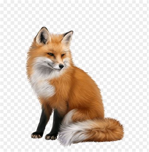 Download Fox Png Images Background Png Free Png Images Artofit