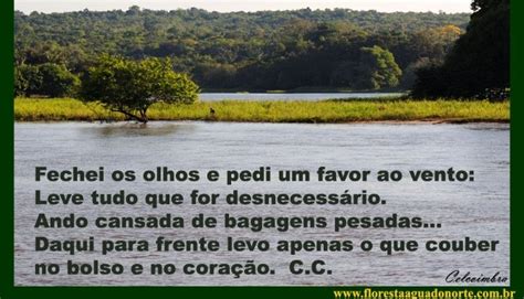 Br Fechei Os Olhos E Pedi Um Favor Ao