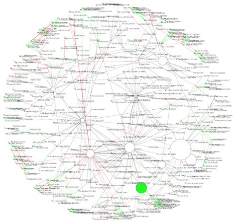 The Second Largest Cluster In The Graph This Cluster Is Mainly
