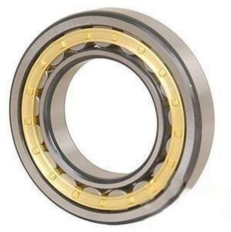 Skf Stainless Steel Nu Ecp Cylindrical Roller Bearing At
