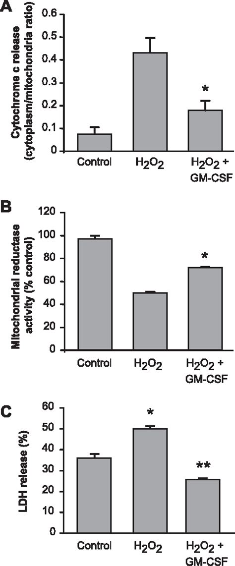 Figure 1 From Gm Csf Provides Autocrine Protection For Murine Alveolar