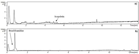 Chromatographic Profile Of Ethanolic Extract Of The Leaves Of