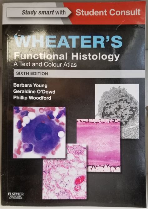 Wheaters Functional Histology A Text And Colour Atlas Sixth Edition