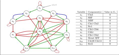 the yeast cell cycle model as defined in [8] green arrows denote
