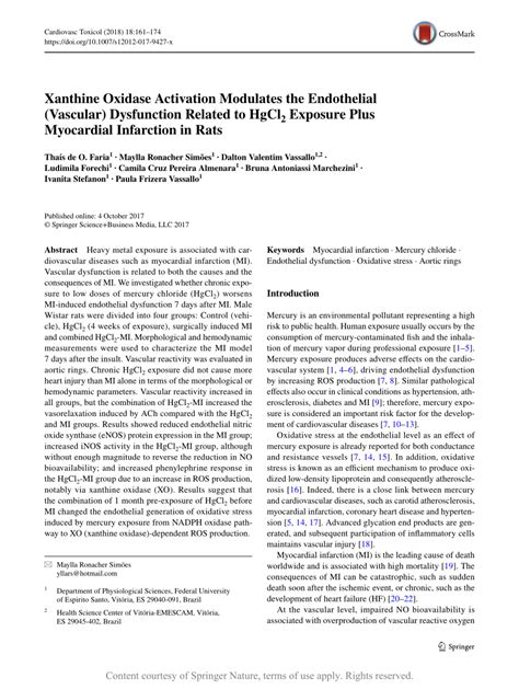 Xanthine Oxidase Activation Modulates The Endothelial Vascular Dysfunction Related To Hgcl2