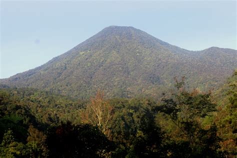 Air Terjun Curug Cibeureum Bumi Perkemahan Mandalawangi Cibodas