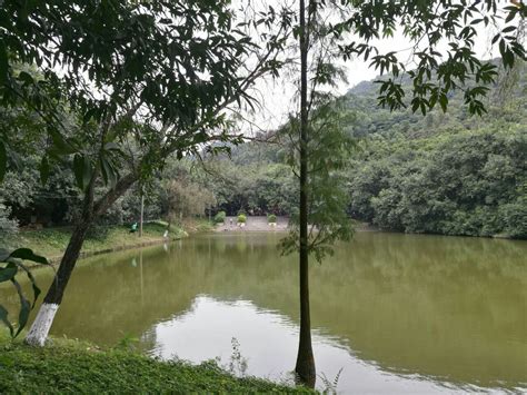 2025龙头山森林公园游玩攻略 公园风景不错周末比较多人 去哪儿攻略
