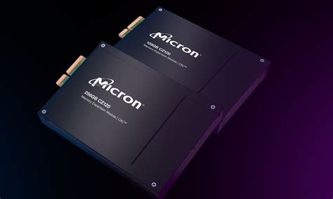 Technology Leadership Micron Technology Inc