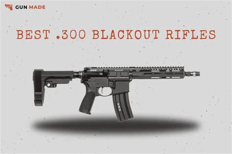 5 Best 300 Blackout Rifles [2023] For All Budgets