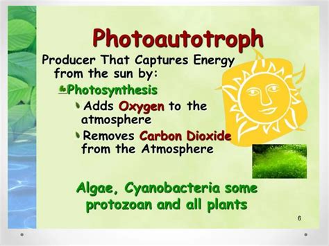 Ecosystemppt For Environment Study By Scsmcoe Ppt
