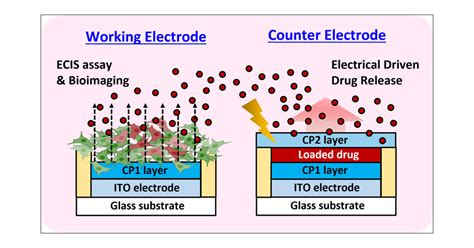 Pedot Pss Based Bioelectrodes For Multifunctional Drug Release And
