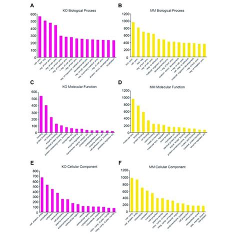 Classification Of Differentially Expressed Genes Based On Gene
