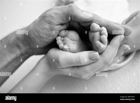 Les Pieds De Bébé Entre Les Mains De La Mère Du Père Du Frère Ou De