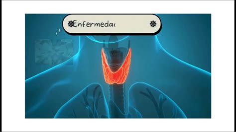 Cambios Biológicos En El Adulto Mayor Comprendiendo El Envejecimiento